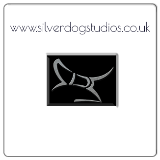 Slides To Digital service - SilverDogStudios